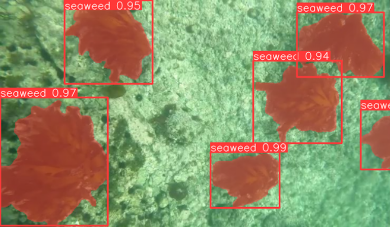 BlueArch、ドローンとAI技術を用いたブルーカーボン生態系の調査手法を開発。調査結果がJブルークレジット®の認証を取得 | ドローンガイド - DRONE GUIDE