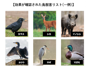 NTTイードローン社、鳥獣害対策ドローン『BB102』の提供開始 | ドローンガイド - DRONE GUIDE